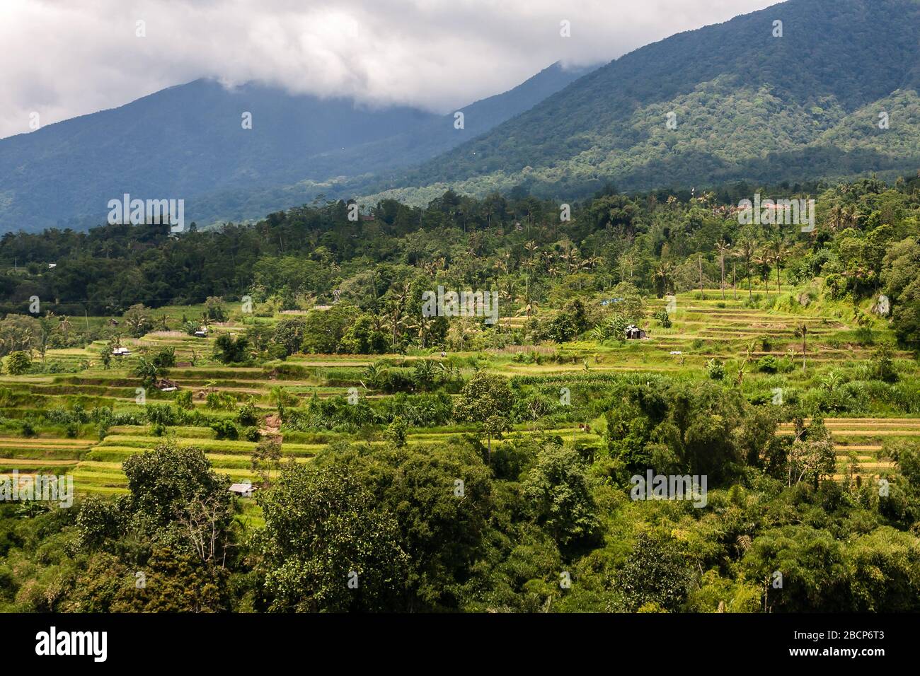 Bali agricultural landscape hi-res stock photography and images - Alamy