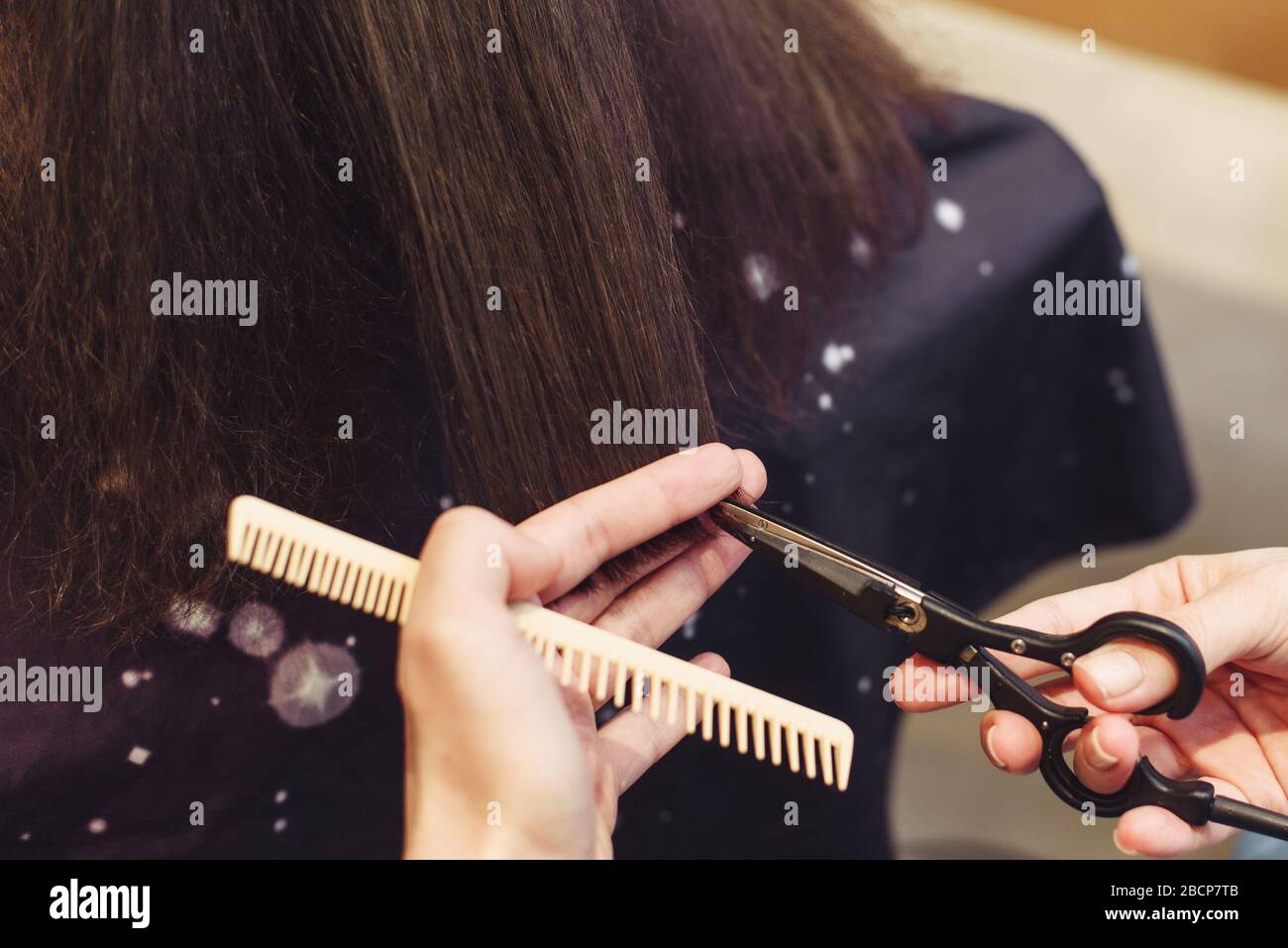 The master hairdresser cuts the ends of the hair of a brunette sitting ...