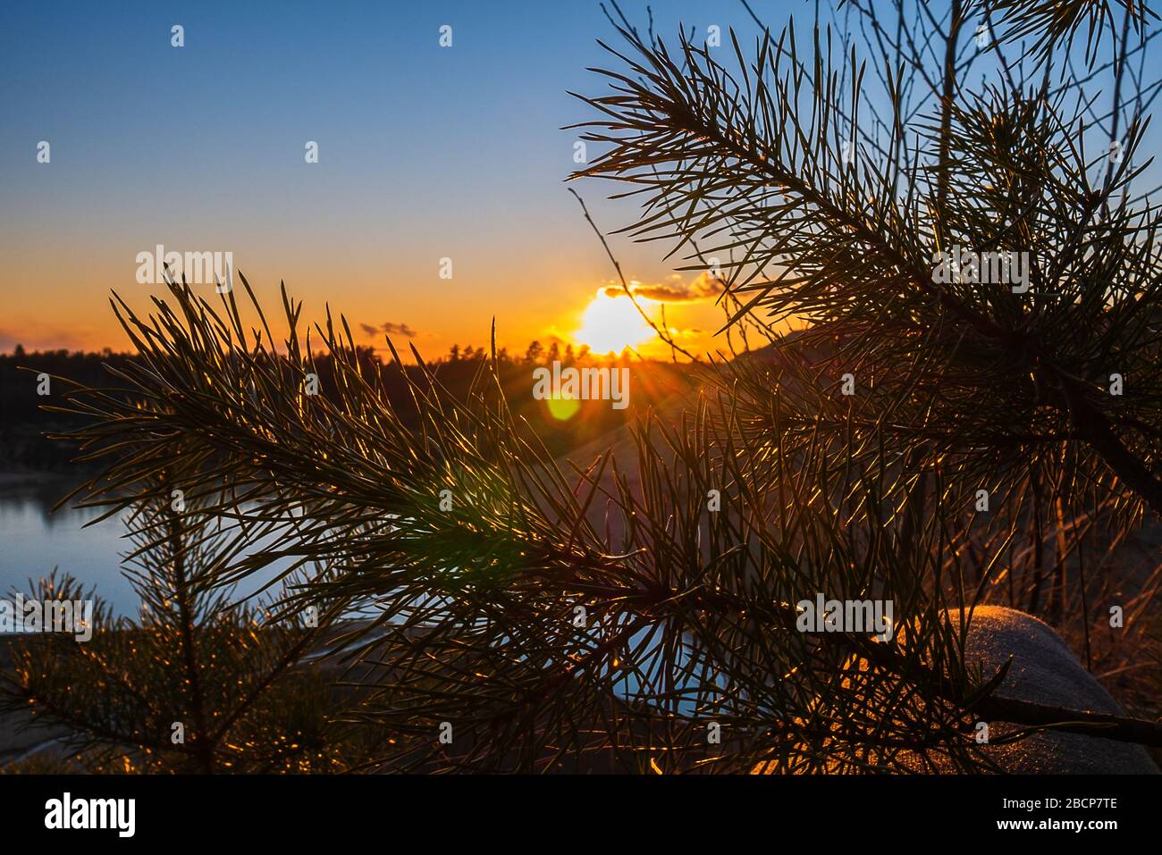 Trees and a lake in an old sandy quarry Stock Photo - Alamy