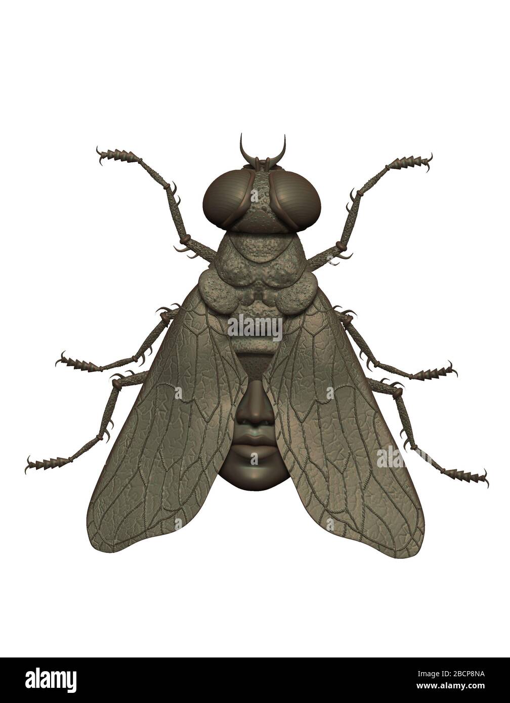 3d gadfly hi-res stock photography and images - Alamy