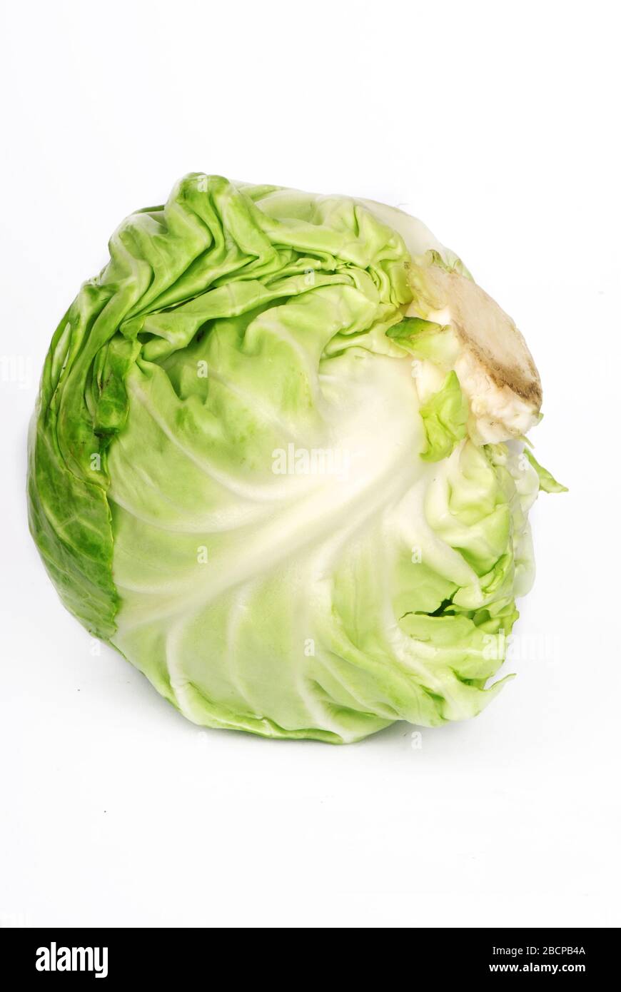 Closeup shot head cabbage hi-res stock photography and images - Alamy