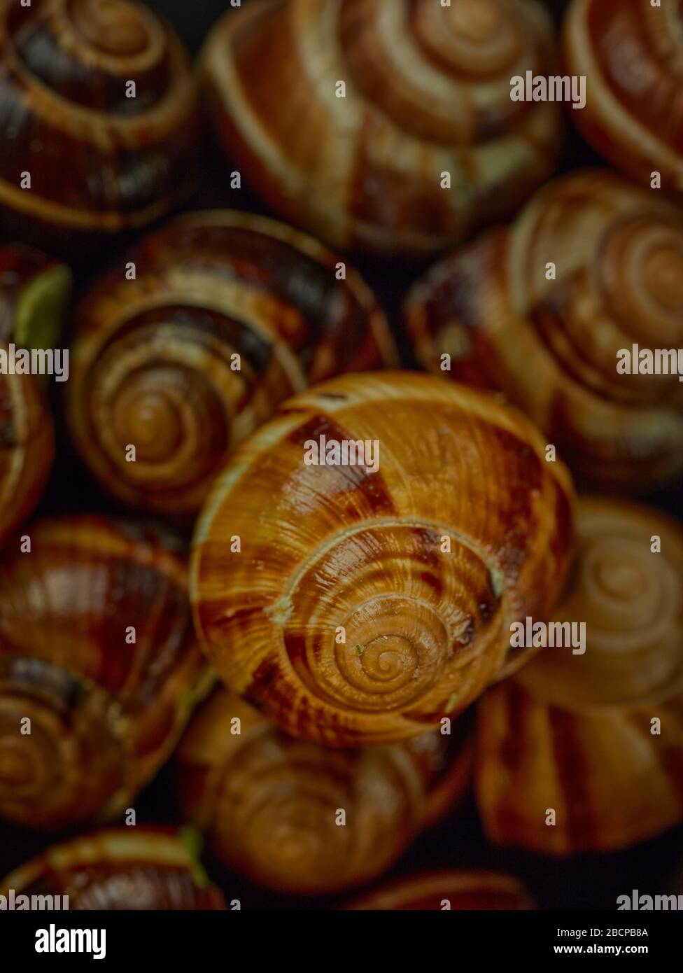 Escargots, edible land snails, food still-life close-up Stock Photo - Alamy