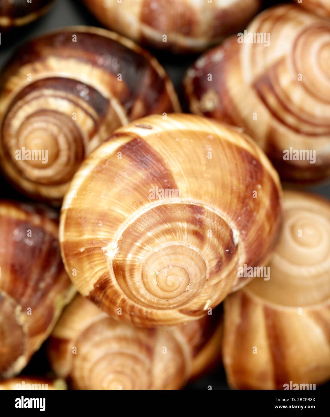 Escargots, edible land snails, food still-life close-up Stock Photo - Alamy