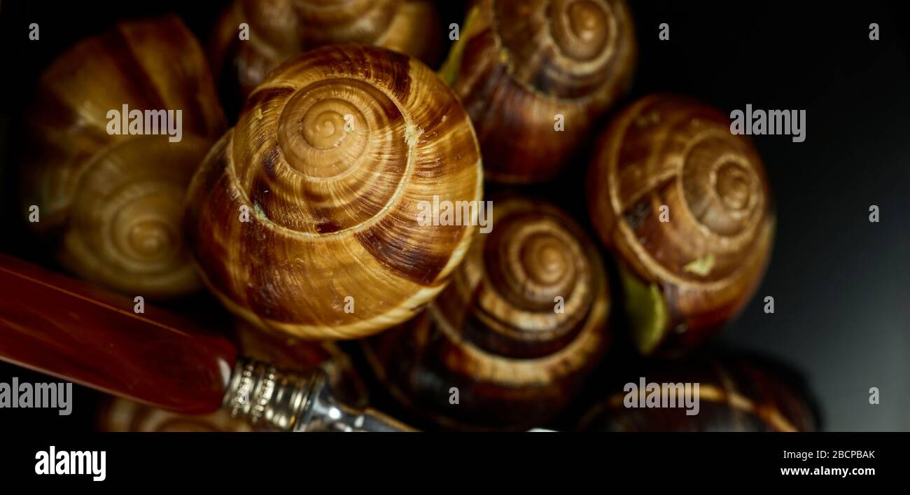 Escargots, edible land snails, food still-life close-up Stock Photo - Alamy