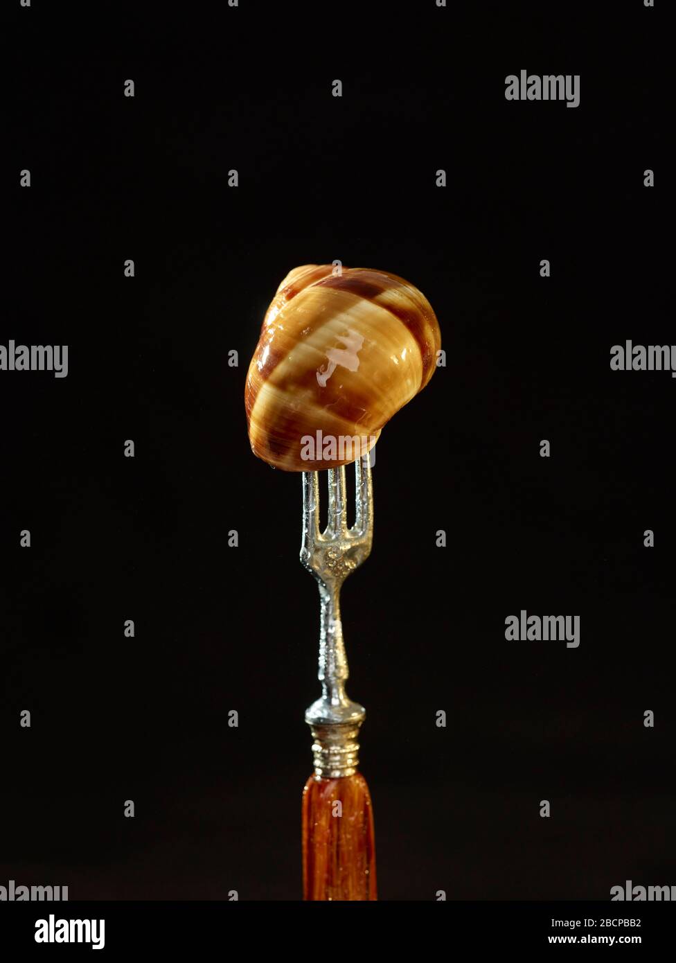 Escargots, edible land snails, food still-life close-up Stock Photo - Alamy