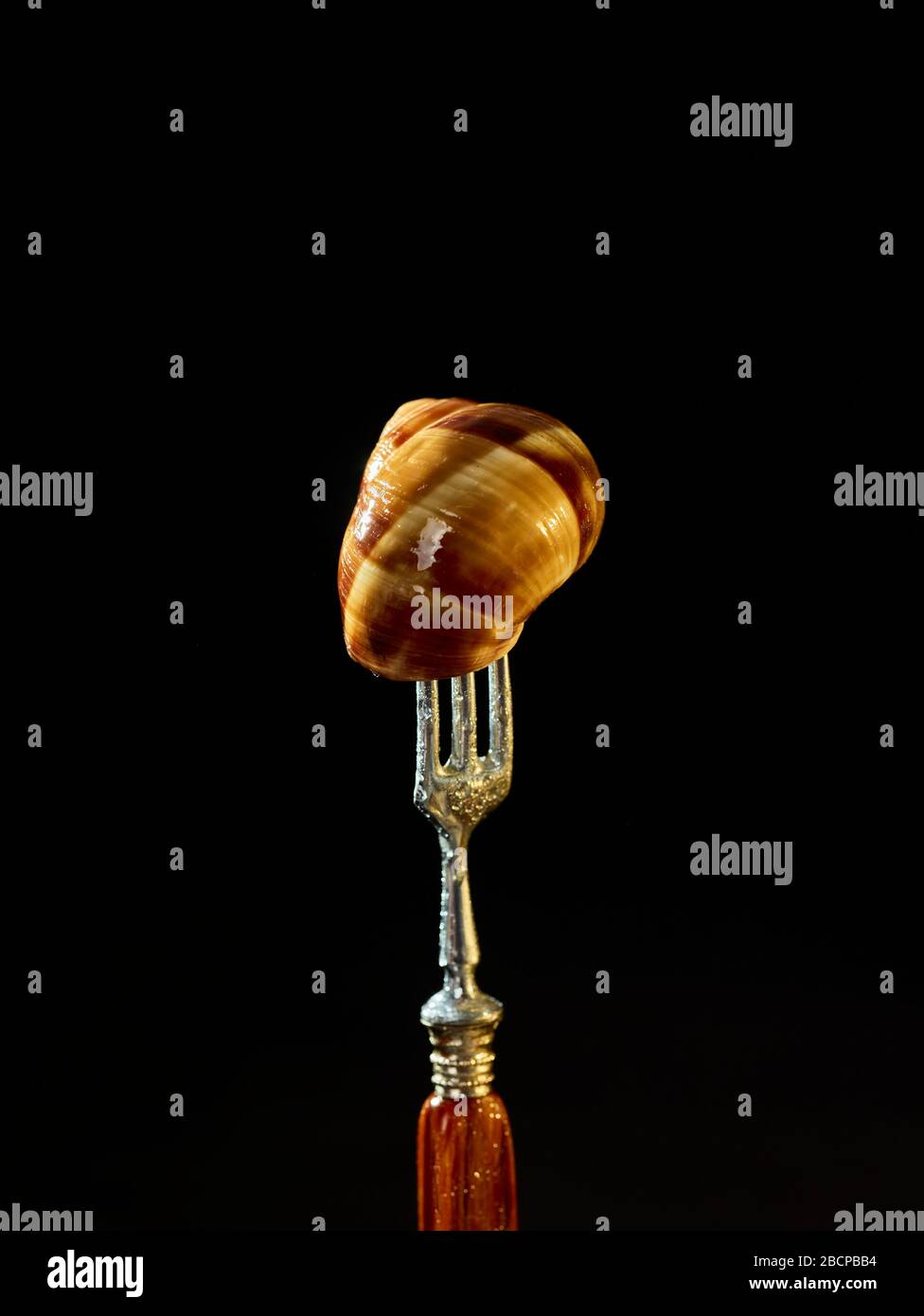 Escargots, edible land snails, on fork food still-life Stock Photo - Alamy
