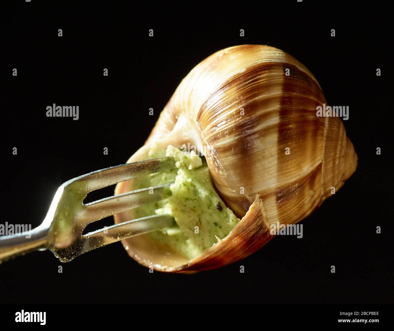 Escargot, edible snail, cooked with garlic butter and parsley in a ...