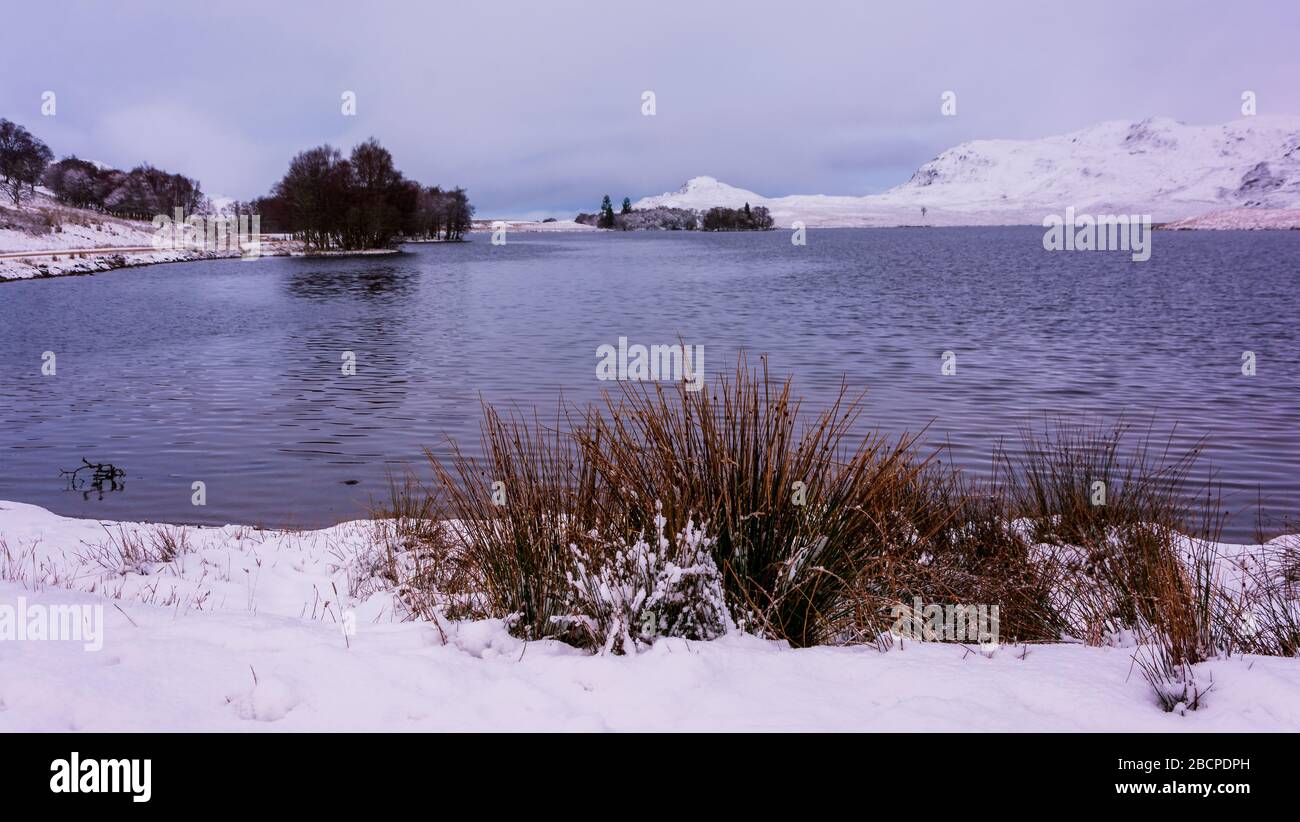 Loch Tarff, Whitebridge, Inverness shire, Scotland Stock Photo - Alamy