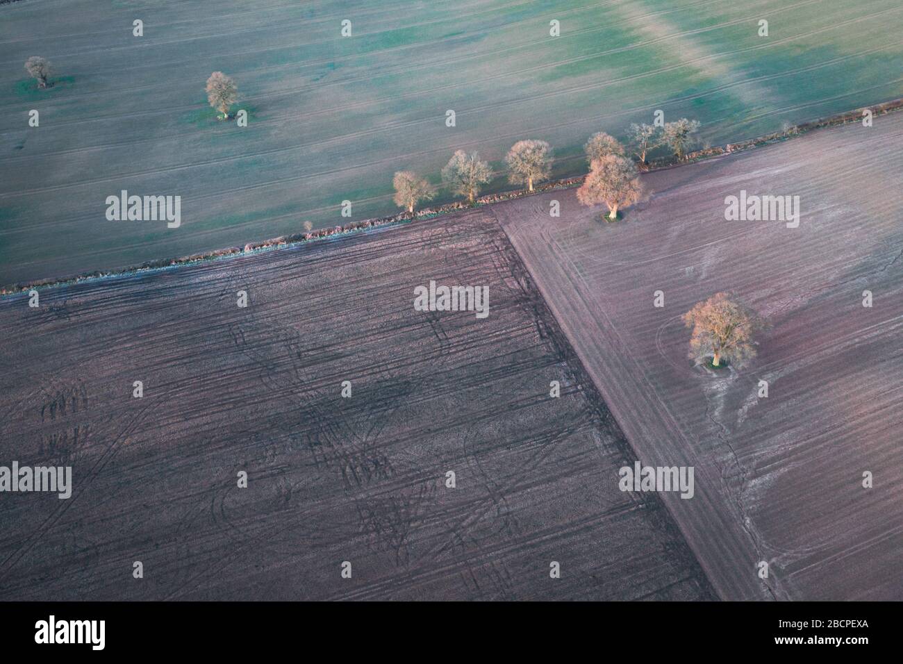 Aerial top dwon view over farming field textures at winter morning in ...