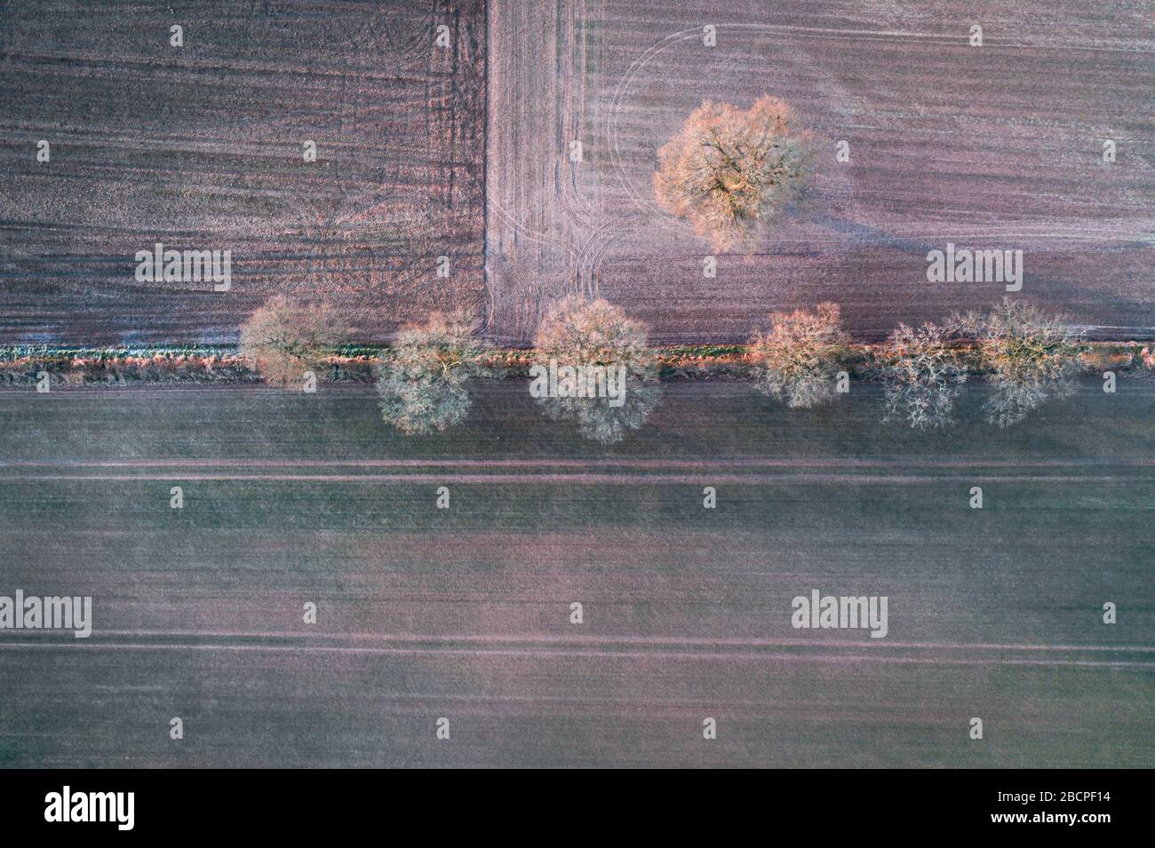 Aerial top dwon view over farming field textures at winter morning in ...