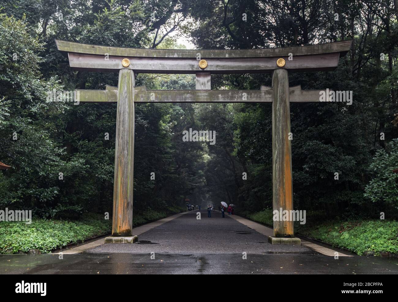 Torii gate in a park in Tokyo Stock Photo - Alamy