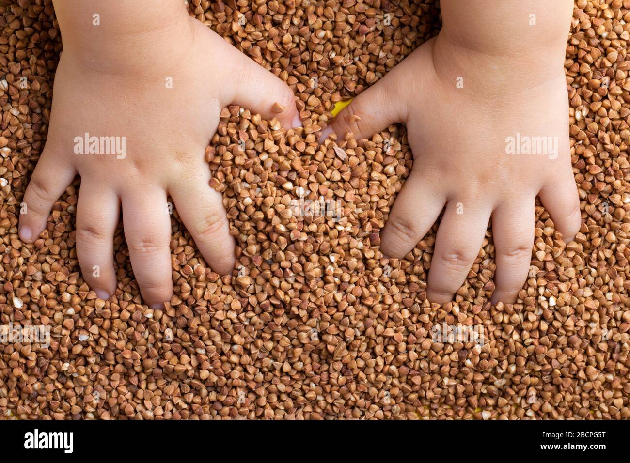 Kids hands in buckwheat groats in a hands, texture background grain ...