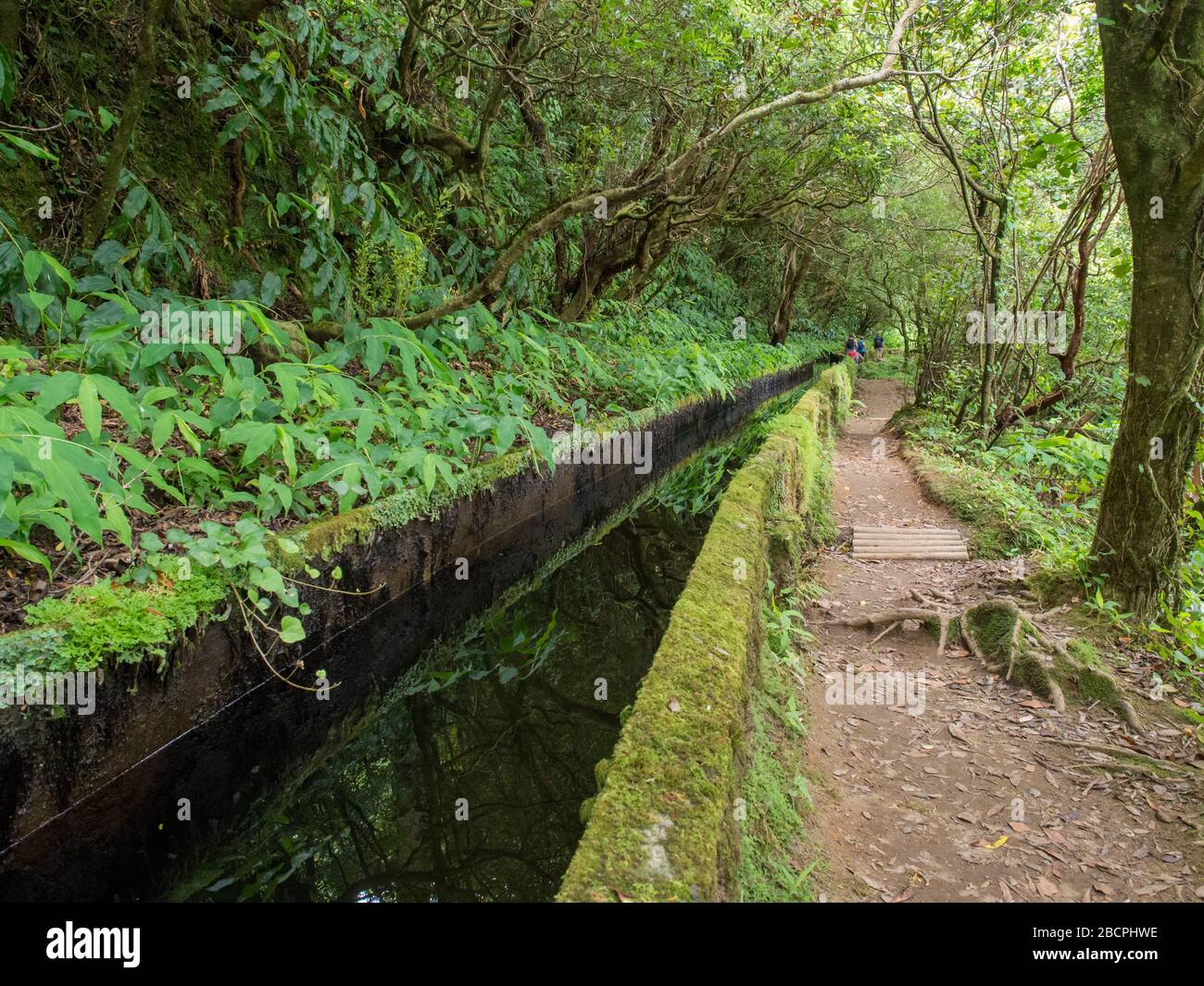 Lavadas (irrigation channels) on Sao Miguel, Azores Islands Stock Photo ...