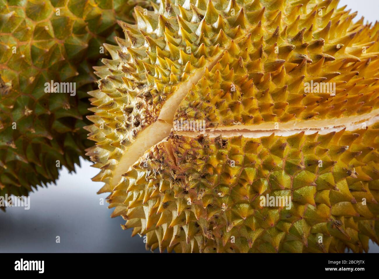 Durian flower hi-res stock photography and images - Alamy