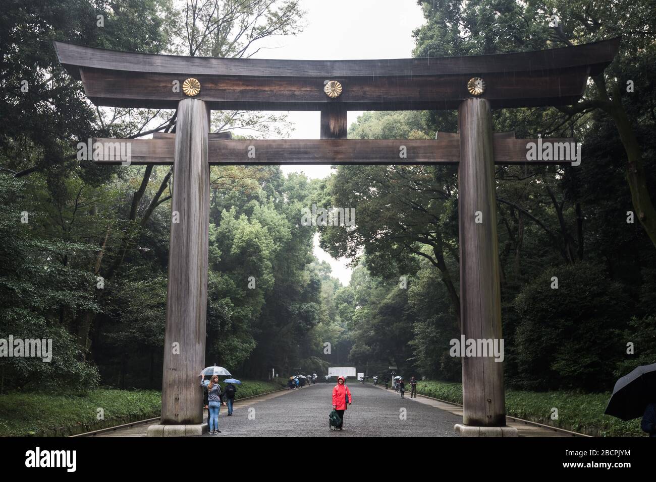 Torii gate in a park in Tokyo Stock Photo - Alamy