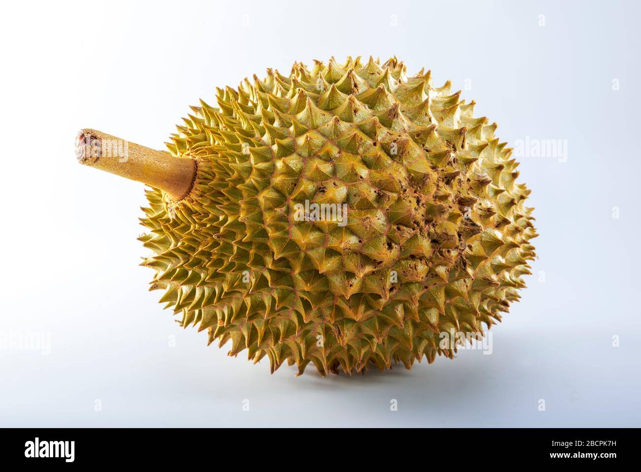 Durian circle hi-res stock photography and images - Alamy