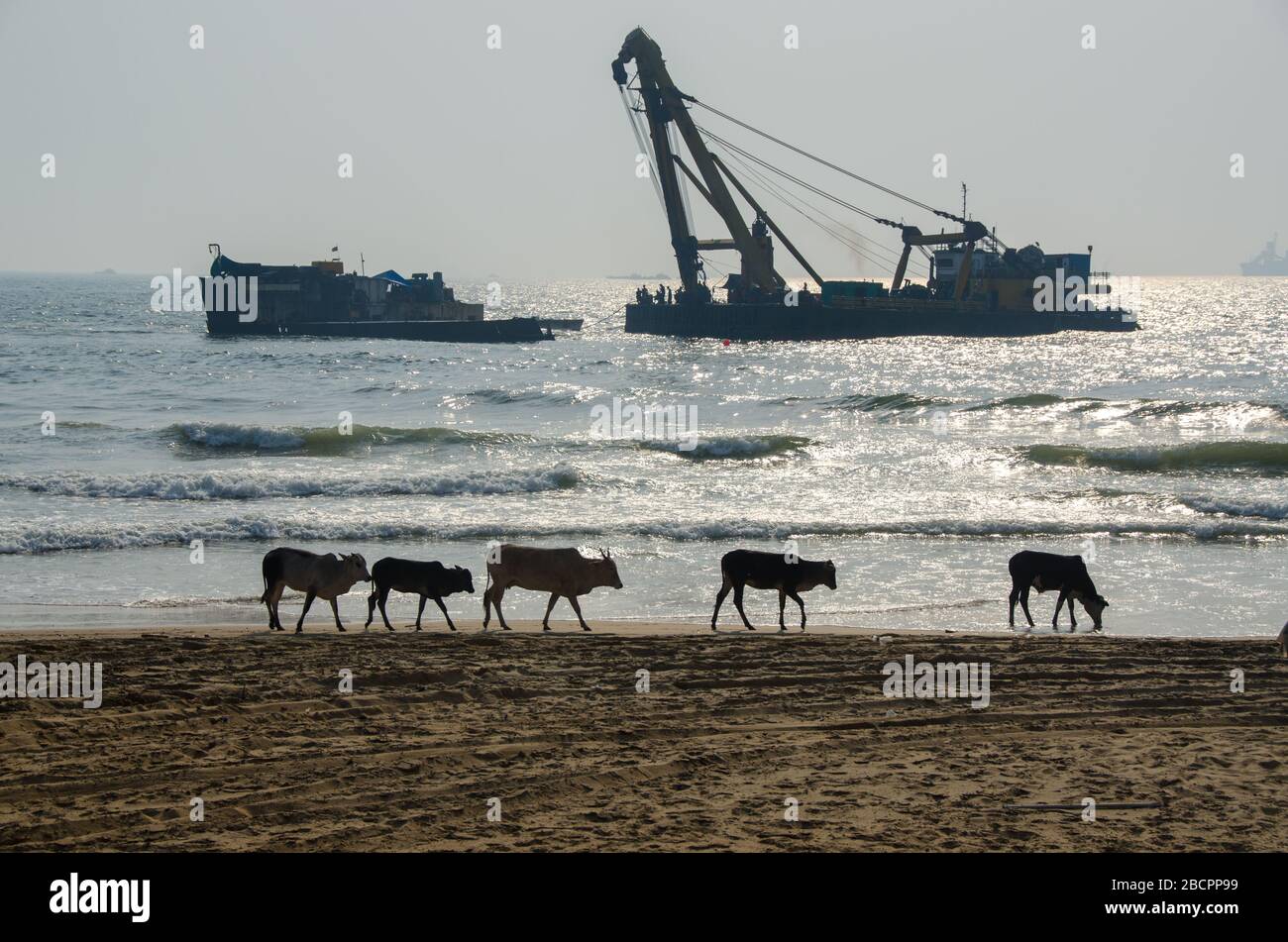 India, North Goa, 2012 - MV River Princess Ship Wreckage and Ship ...