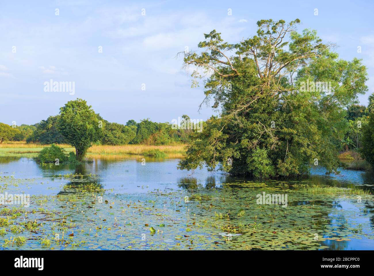 Habarana sri lanka hi-res stock photography and images - Alamy