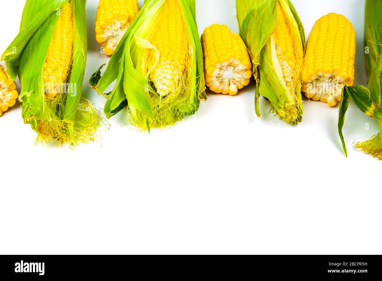 Corn isolated on a white background Stock Photo - Alamy