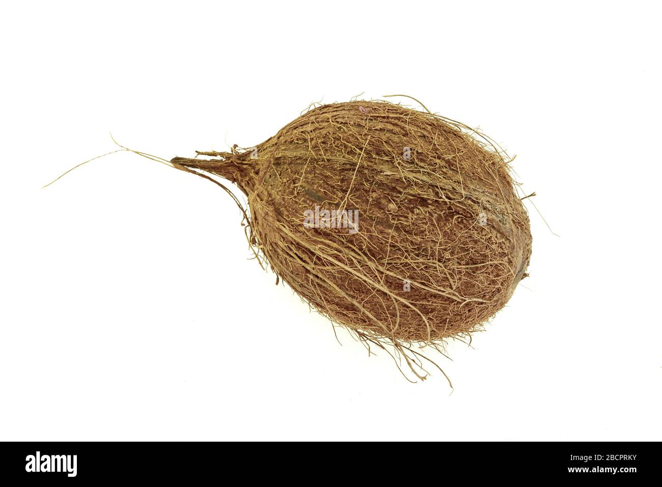 Single whole coconut isolated over the white background Stock Photo - Alamy