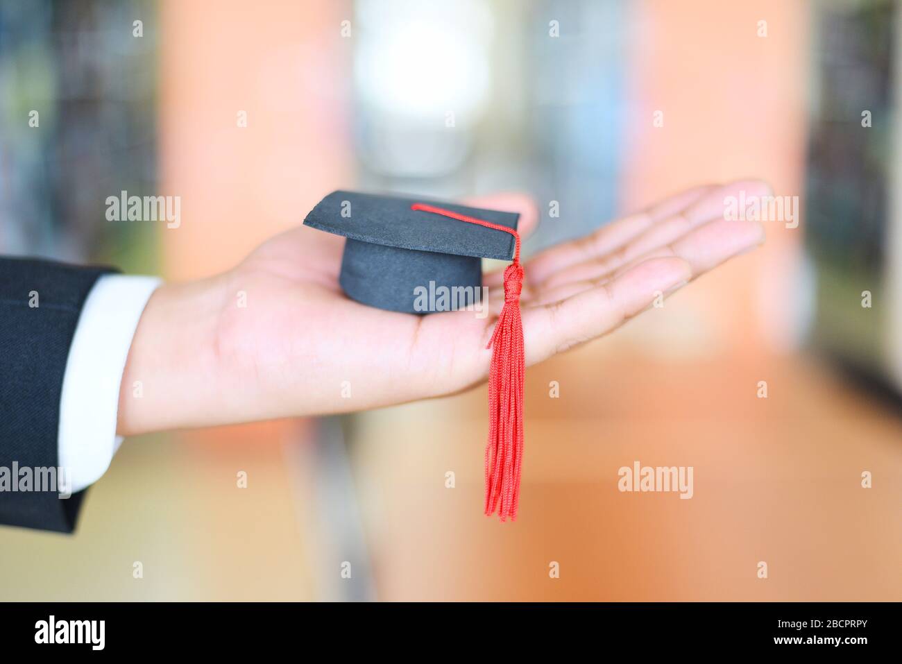 Graduation Education Business Study Concept / Business man or student ...