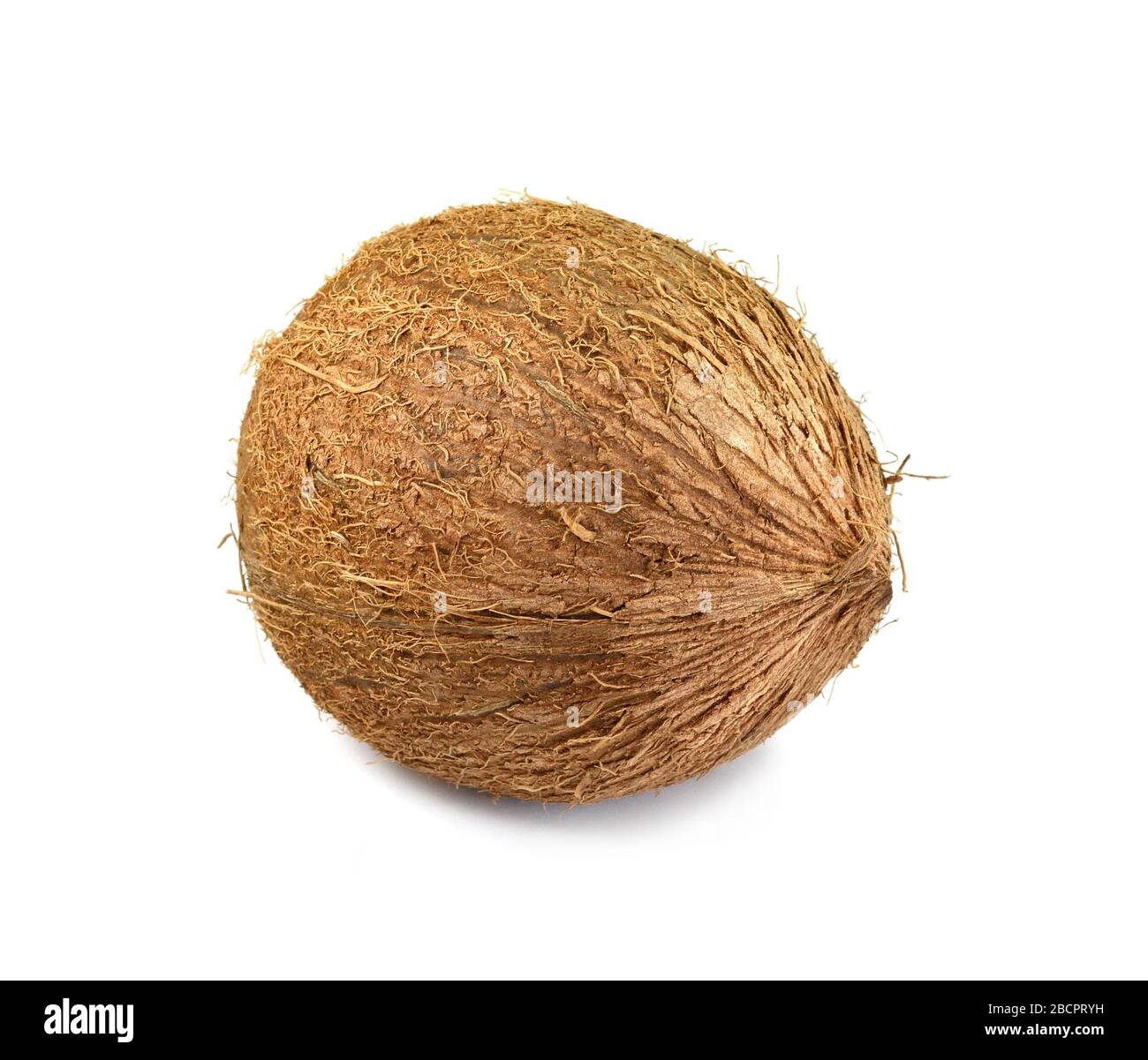Single whole coconut isolated over the white background Stock Photo - Alamy
