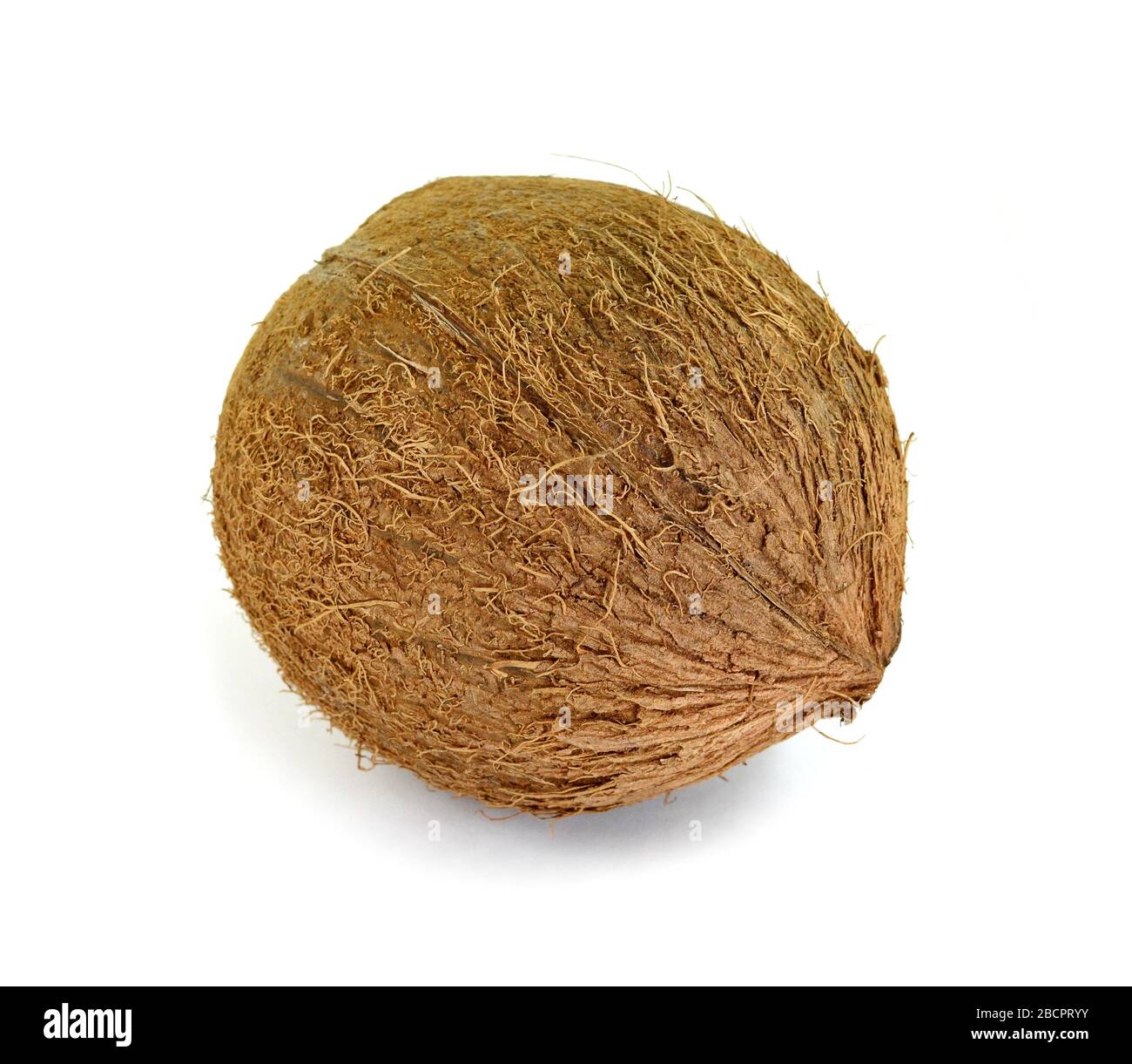 Single whole coconut isolated over the white background Stock Photo - Alamy