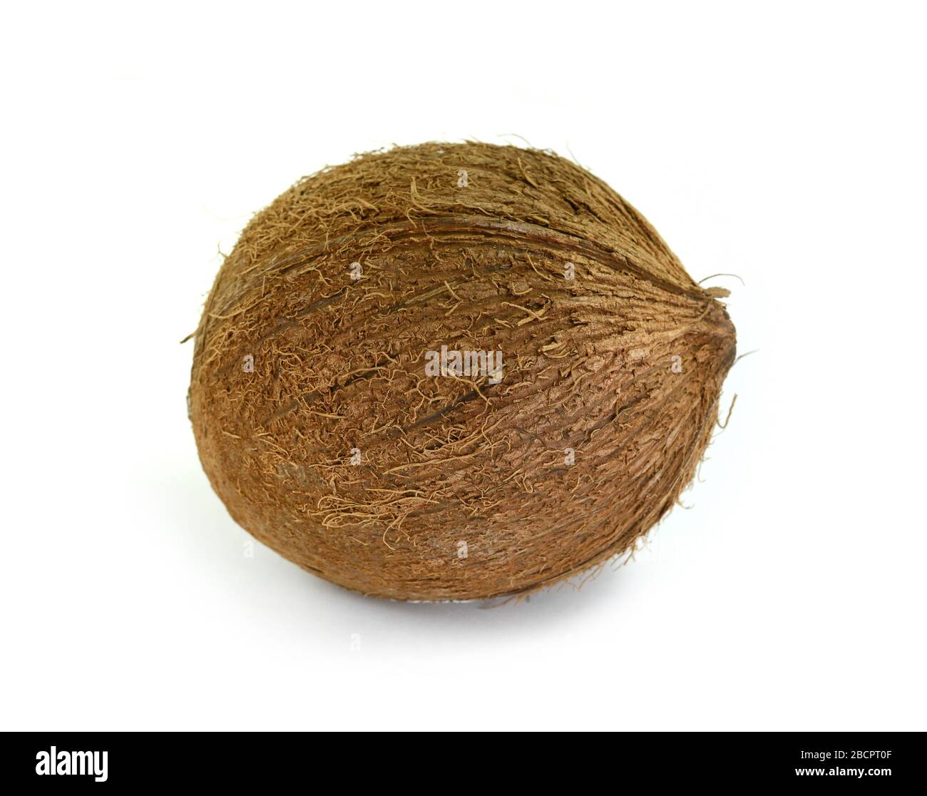 Single whole coconut isolated over the white background Stock Photo - Alamy