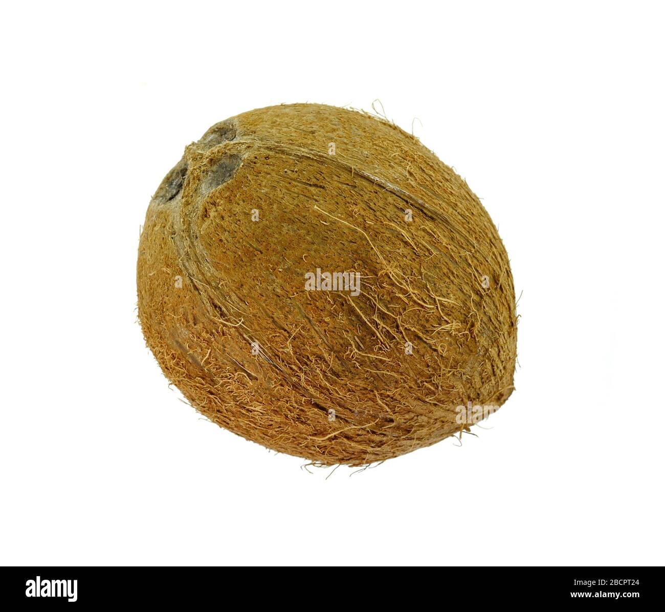 Single whole coconut isolated over the white background Stock Photo - Alamy