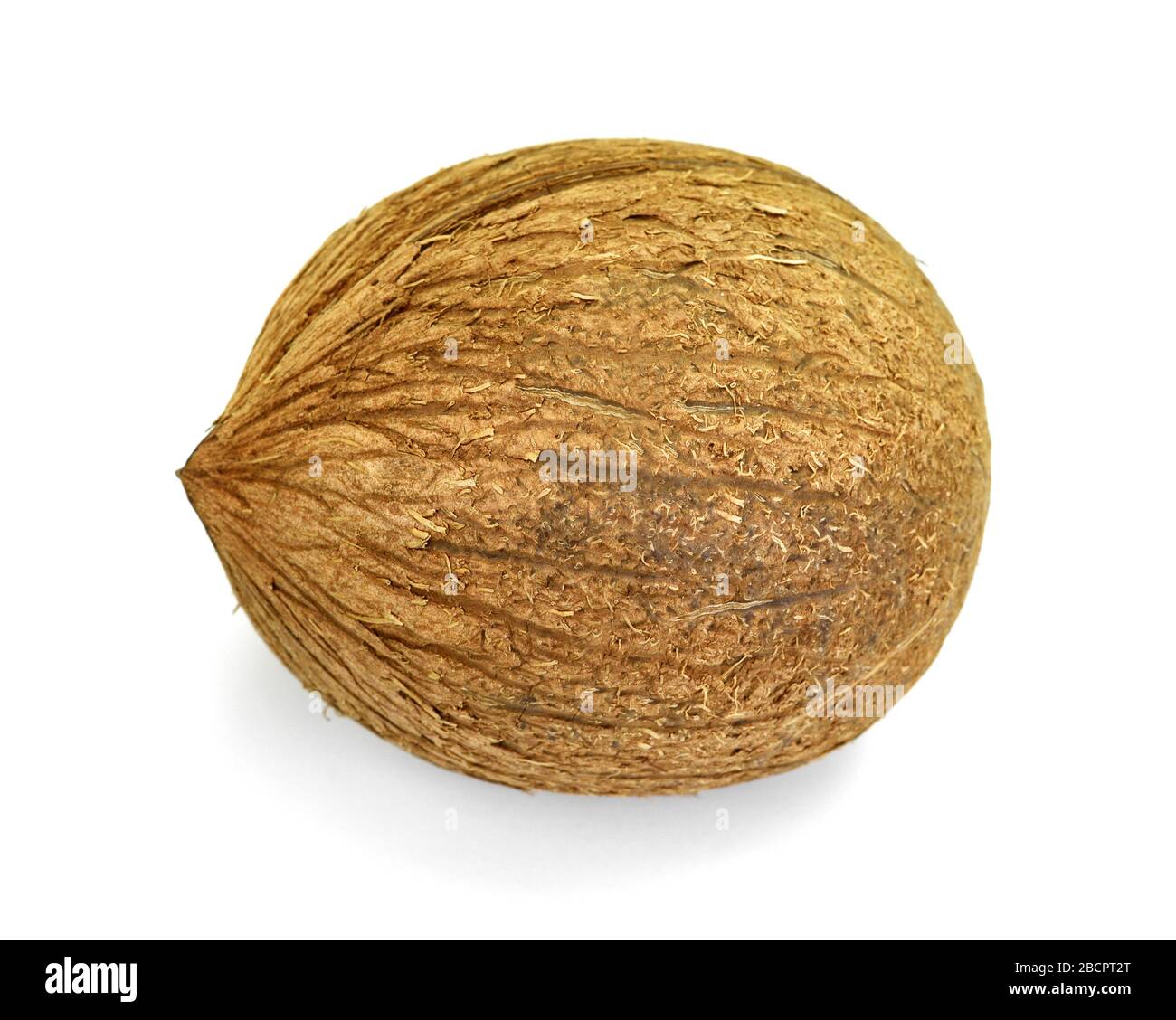 Single whole coconut isolated over the white background Stock Photo - Alamy