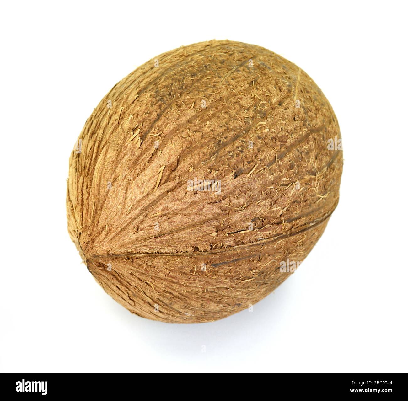 Single whole coconut isolated over the white background Stock Photo - Alamy