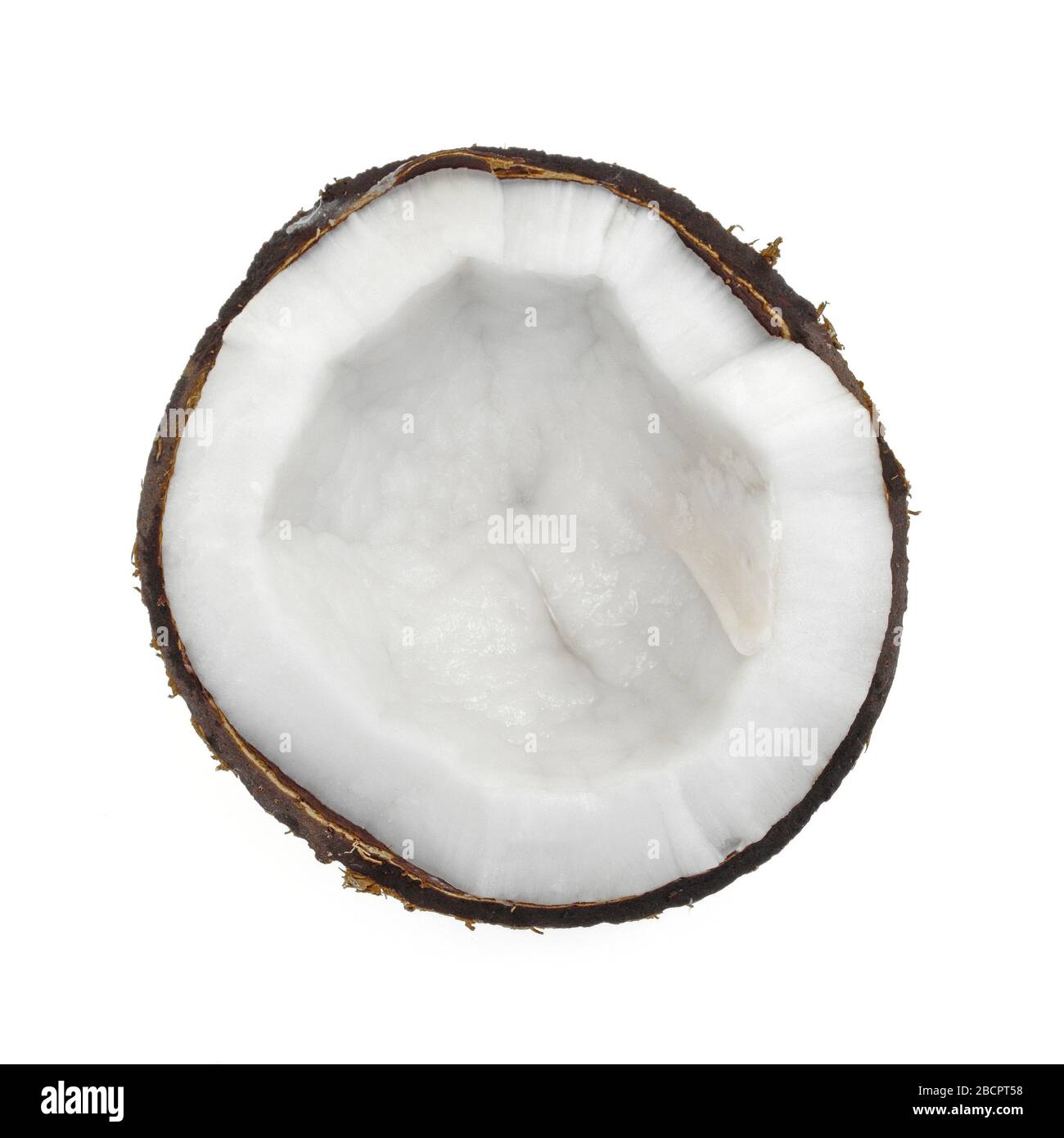 coconut isolated on white background Stock Photo - Alamy