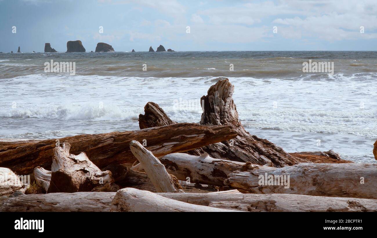 Great nature at La Push - The Beach at Quileute Reservation - travel ...