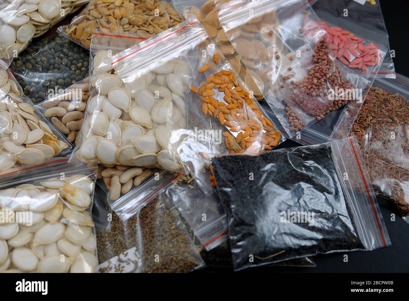 creating a seed bank, packing and storing organic seeds Stock Photo - Alamy