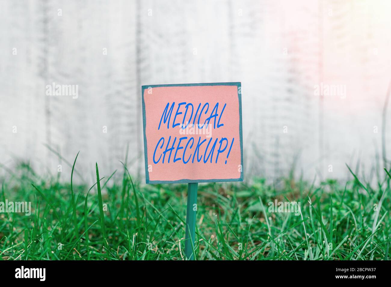 Text sign showing Medical Checkup. Business photo text thorough ...