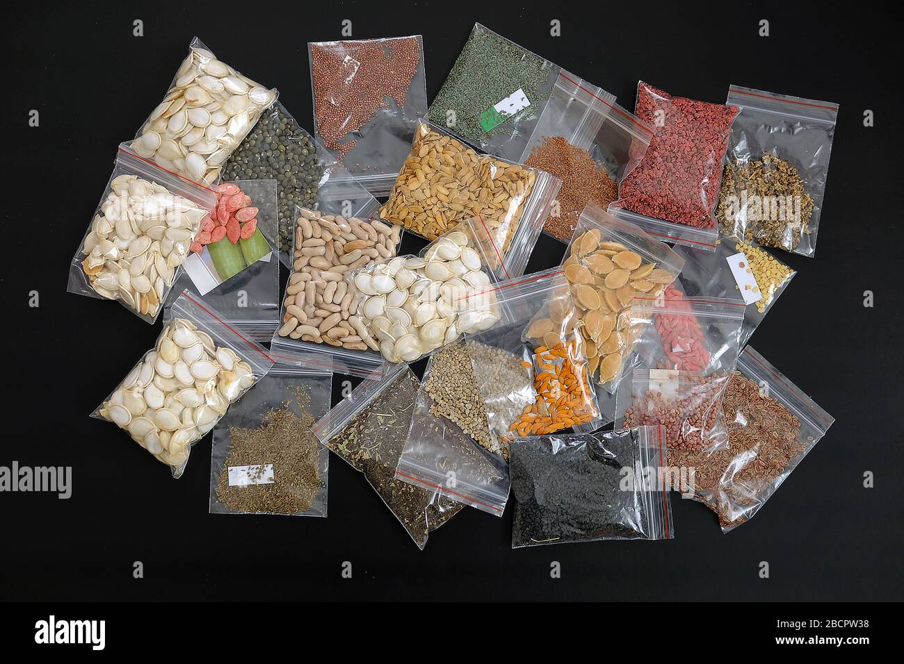 creating a seed bank, packing and storing organic seeds Stock Photo - Alamy