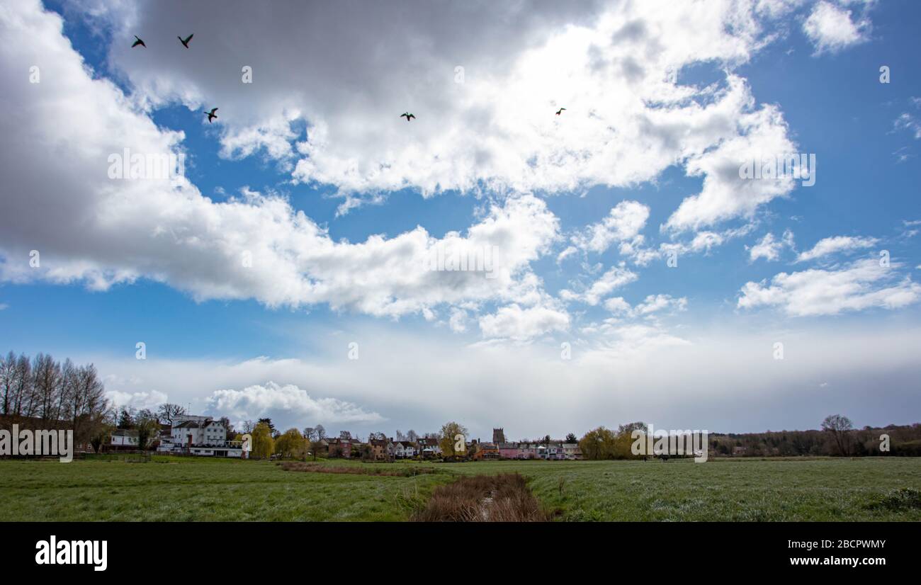 The Water Meadows at Sudbury Suffolk Stock Photo - Alamy