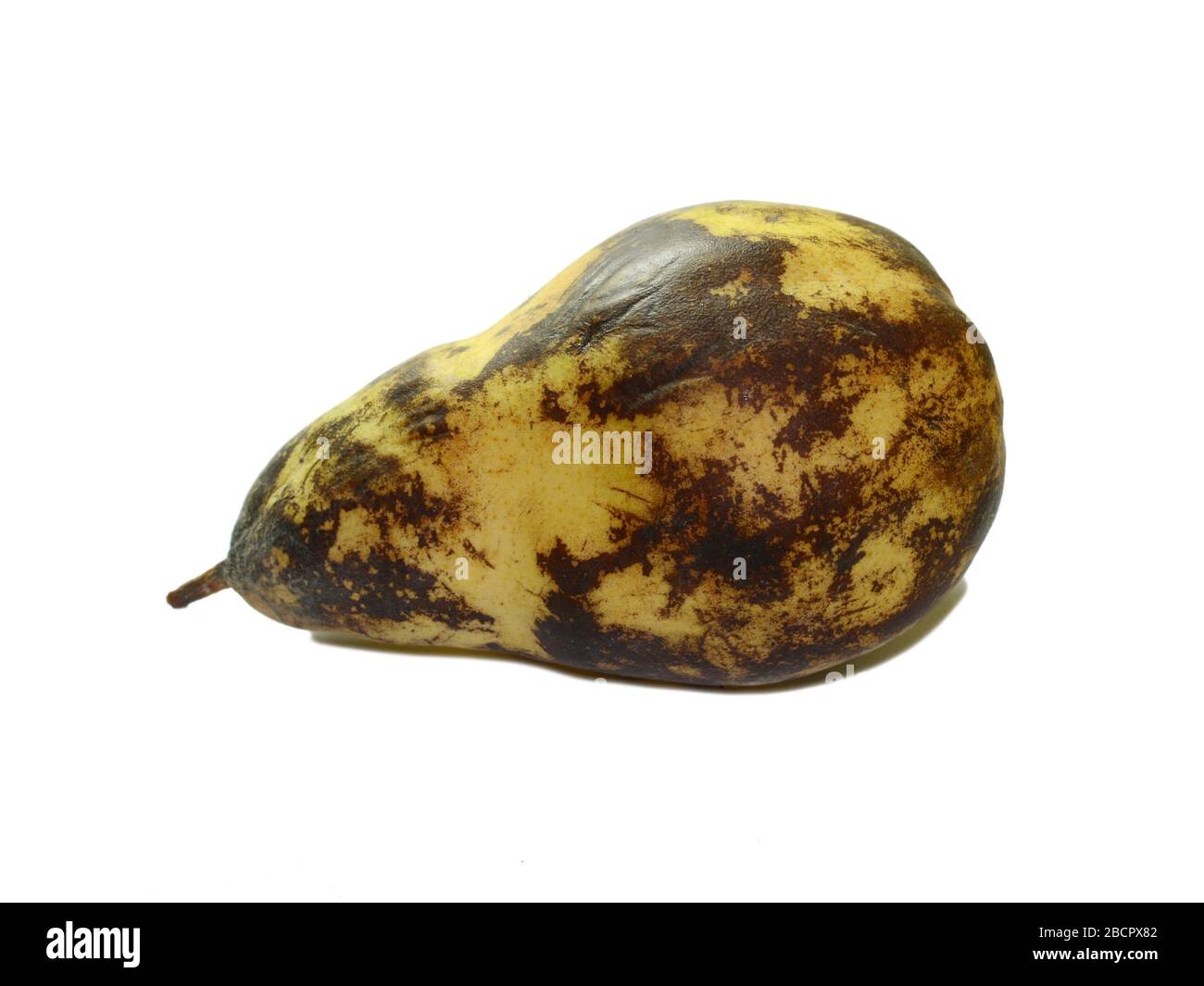 Rotten decomposing organic pear hi-res stock photography and images - Alamy