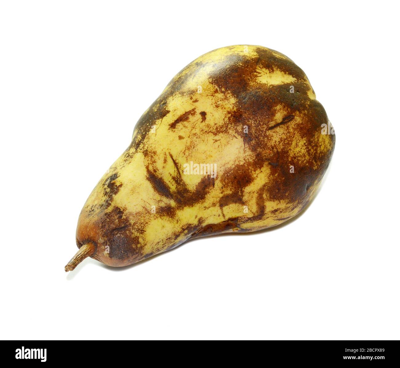 Rotten and decomposing organic pear on white background Stock Photo - Alamy