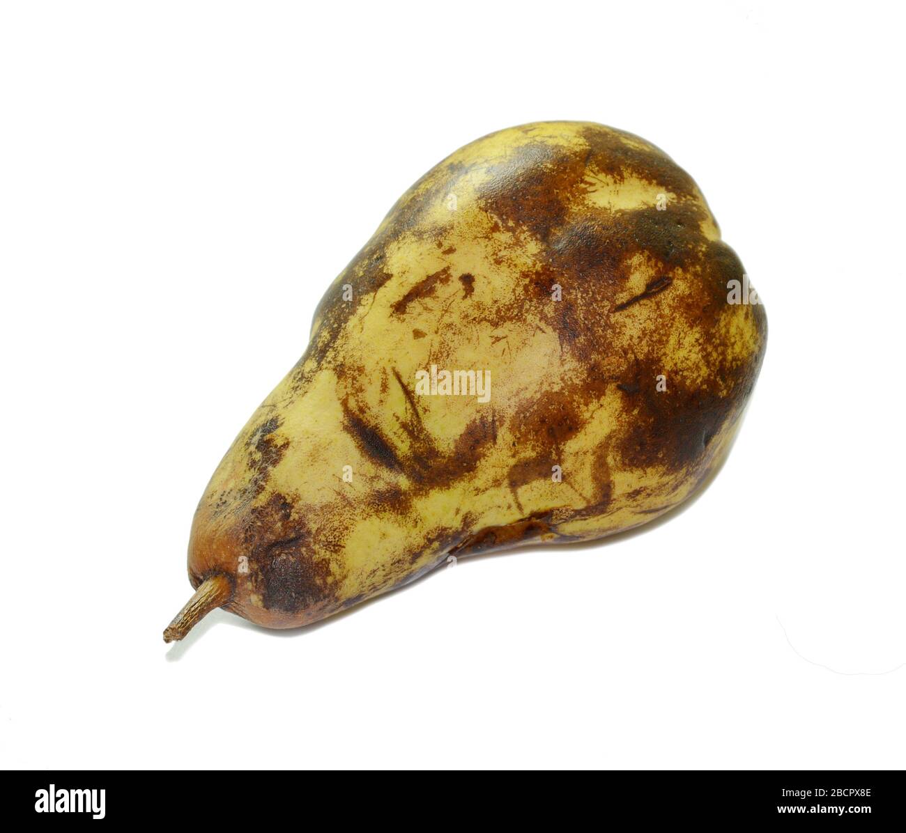 Rotten decomposing organic pear hi-res stock photography and images - Alamy
