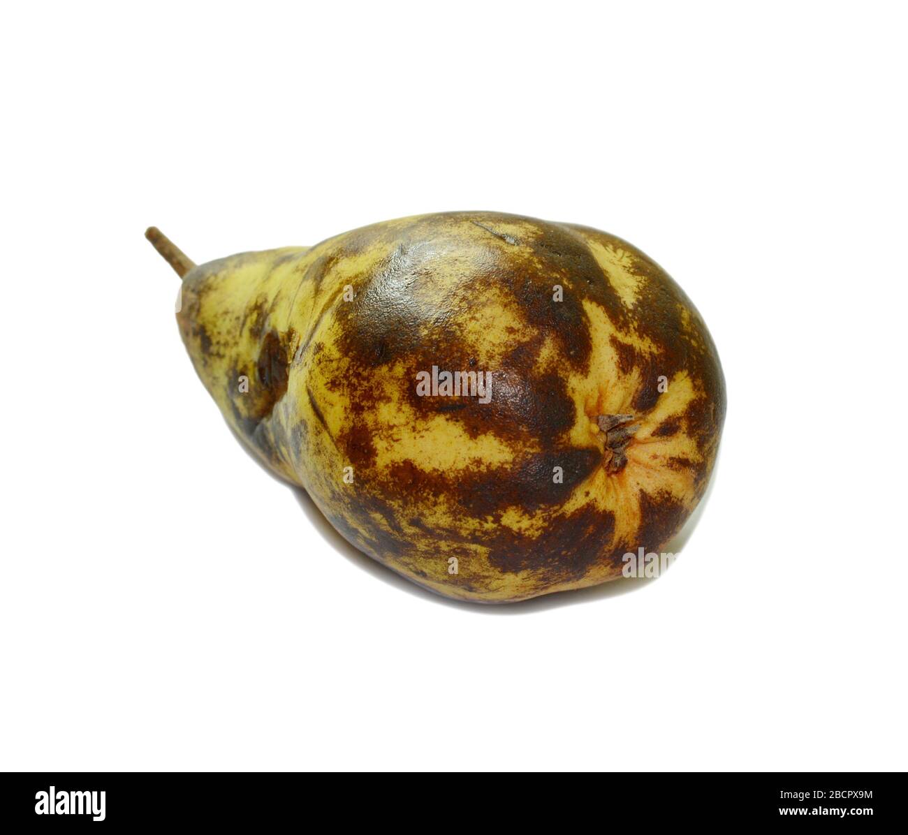 Rotten decomposing organic pear hi-res stock photography and images - Alamy