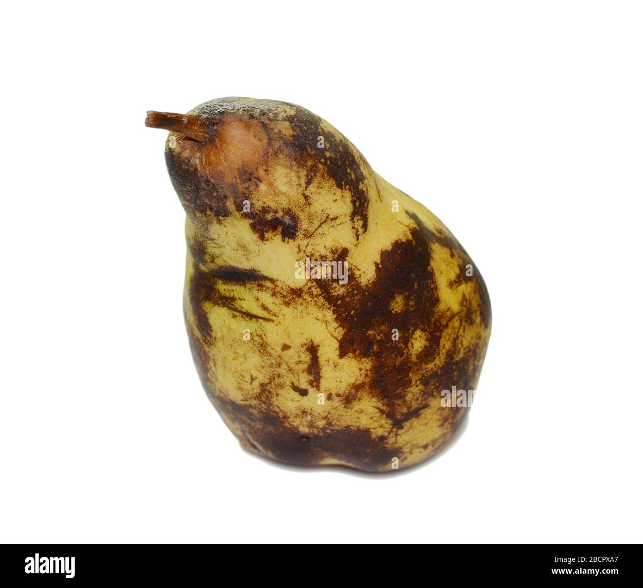 Rotten and decomposing organic pear on white background Stock Photo - Alamy