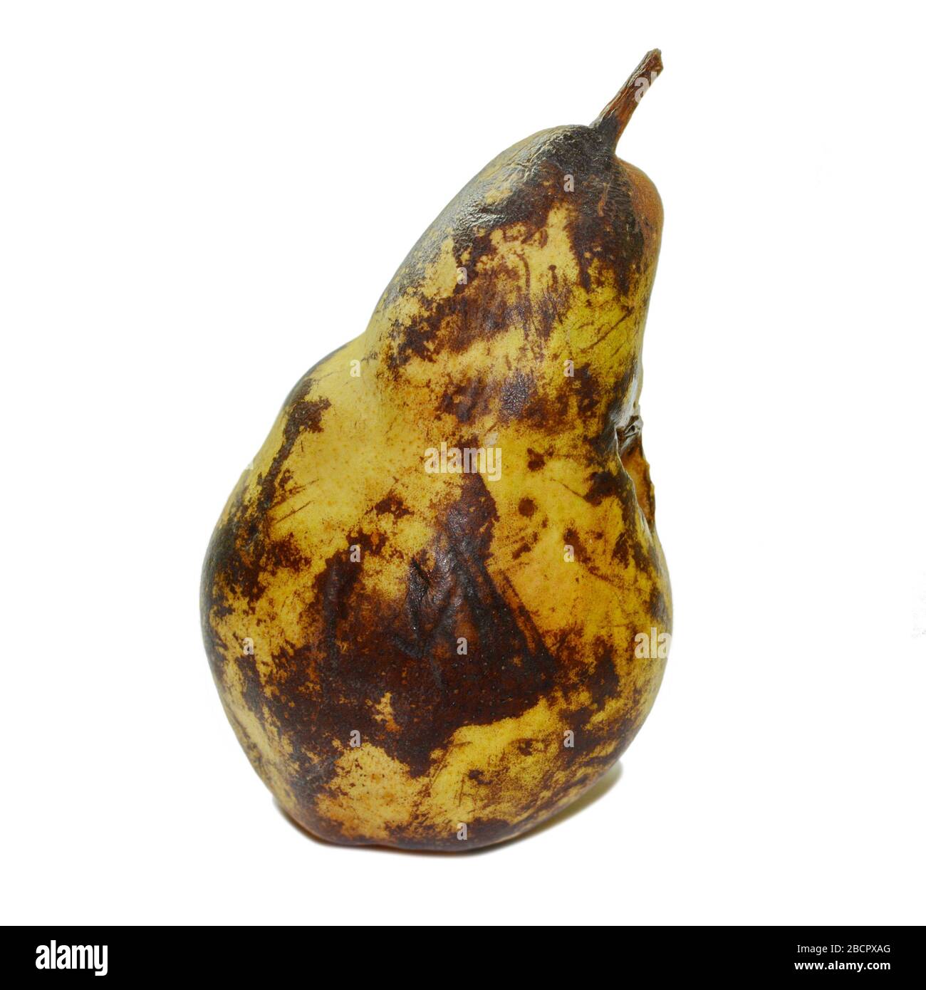 Rotten and decomposing organic pear on white background Stock Photo - Alamy