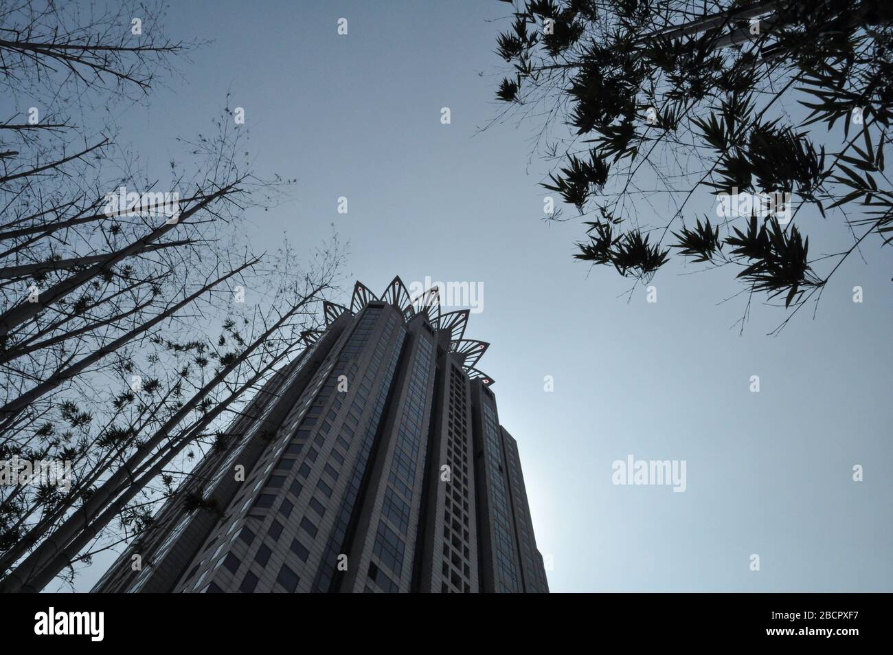 Perspective from the bottom up on a skyscraper in Shanghai, China. The ...