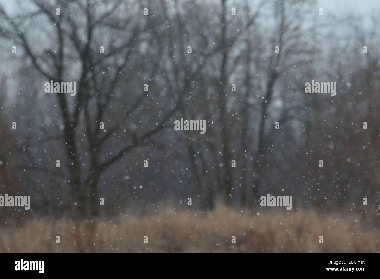 Snow scenery background background hi-res stock photography and images ...