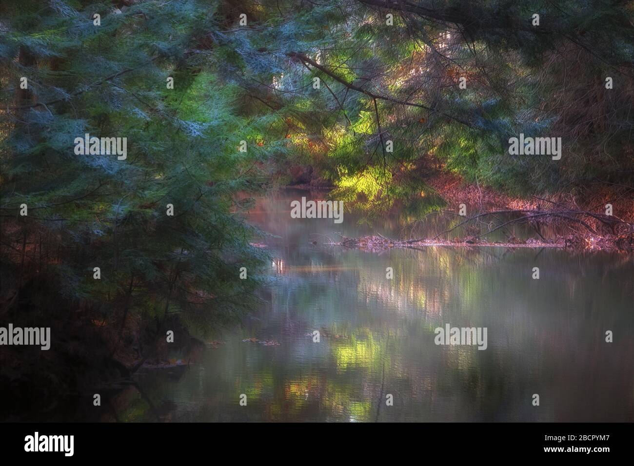 Deep forest river hi-res stock photography and images - Alamy