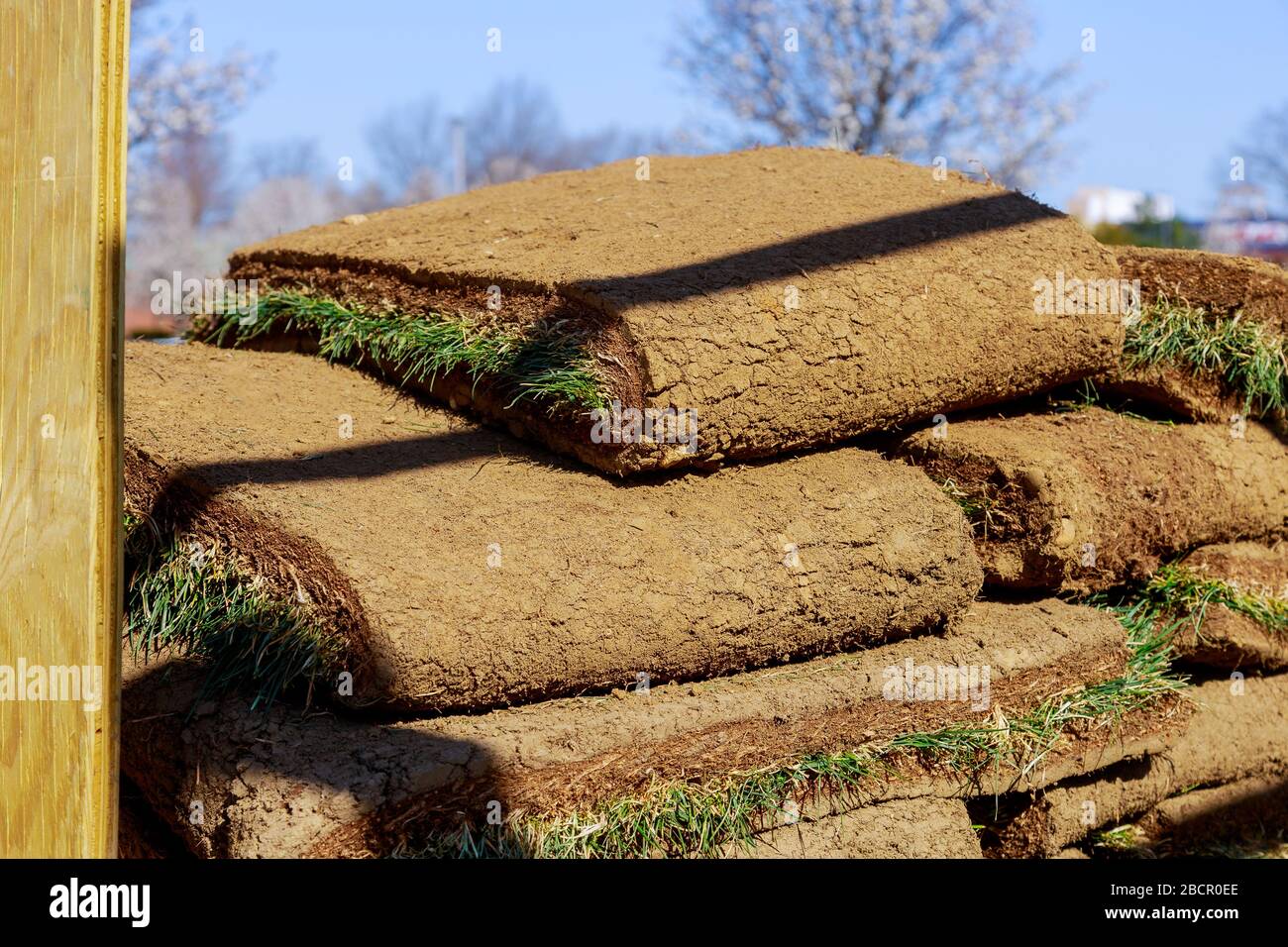 Pallet with stacked rolls of lawn in the for new lawn, grass ...