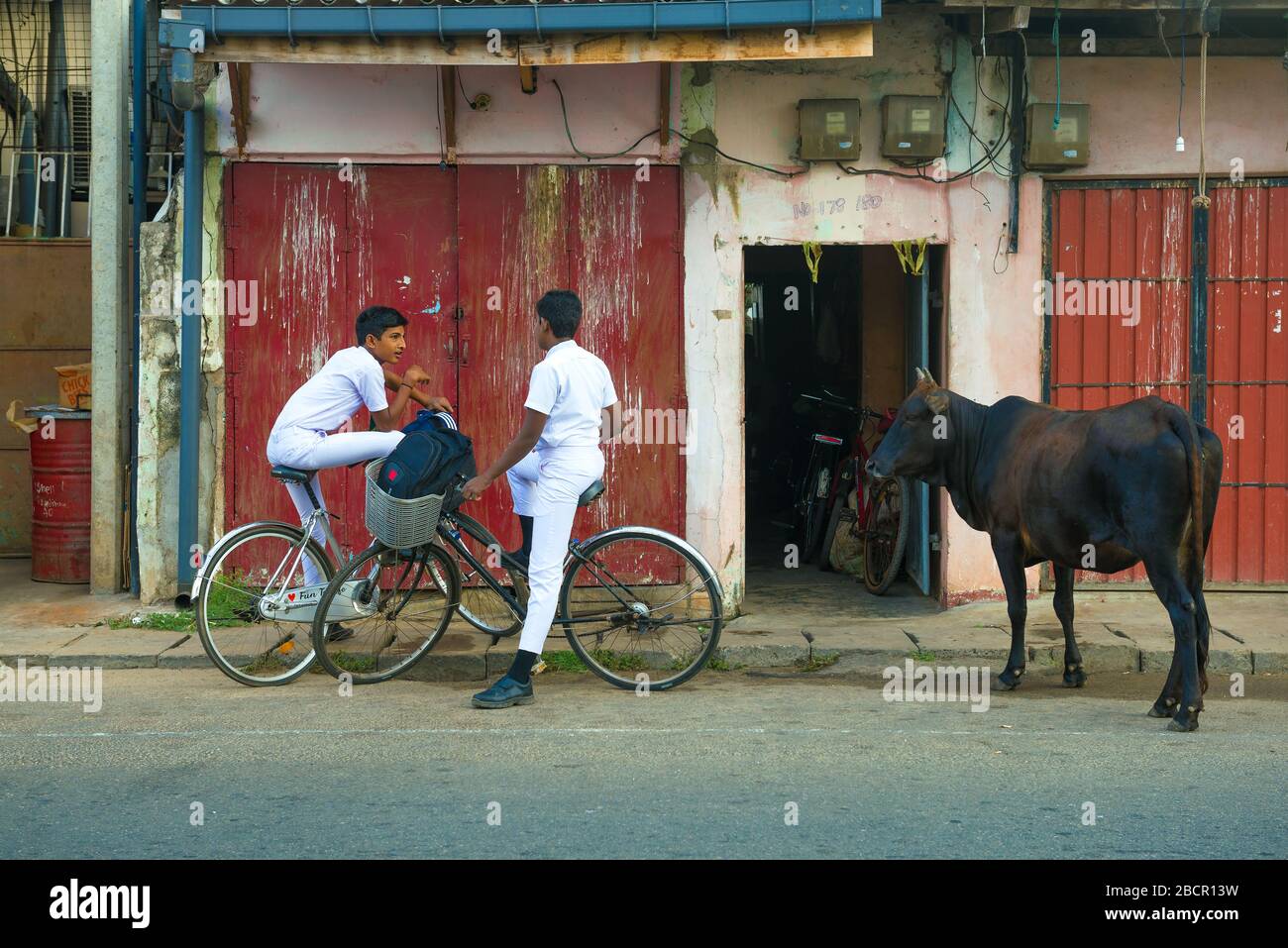 TRINCOMALEE, SRI LANKA - FEBRUARY 11, 2020: Two Sri Lankan ...