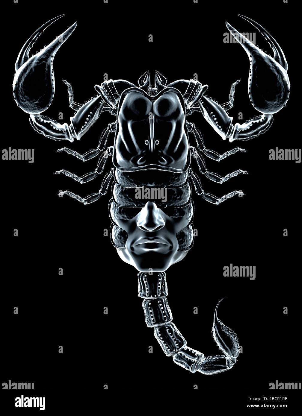 3d Scorpion Drawing