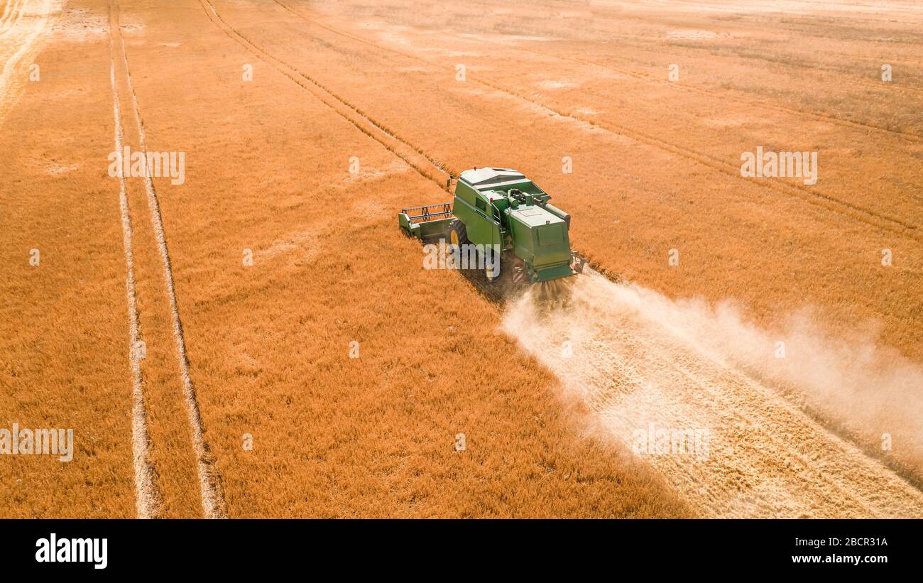 Flying above harvester harvesting seed in Poland Stock Photo - Alamy